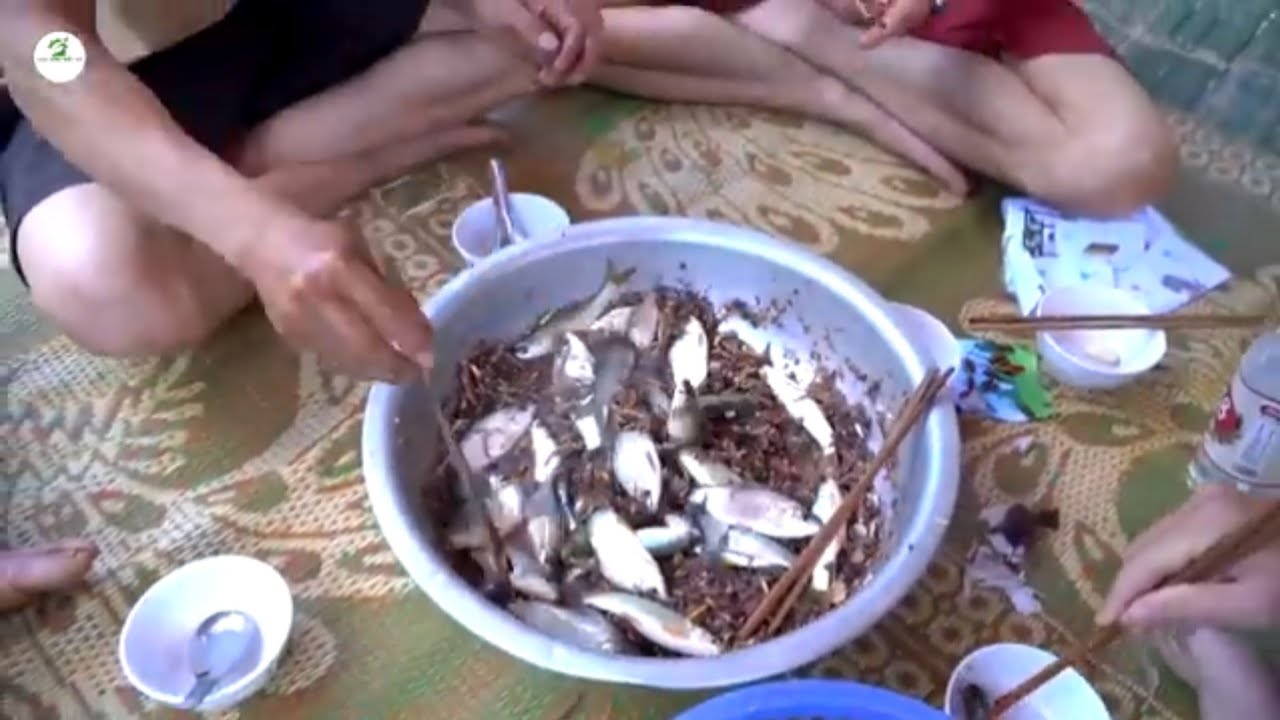 Jumping fish salad with all the big fish to eat the whole fish bowl ...