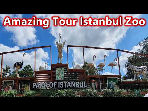 Istanbul Park | | Istanbul Zoo Picnic Area | Çatalmeşe | Çekmeköy | Türkiye | Hayvanat Bahçesi #zoo