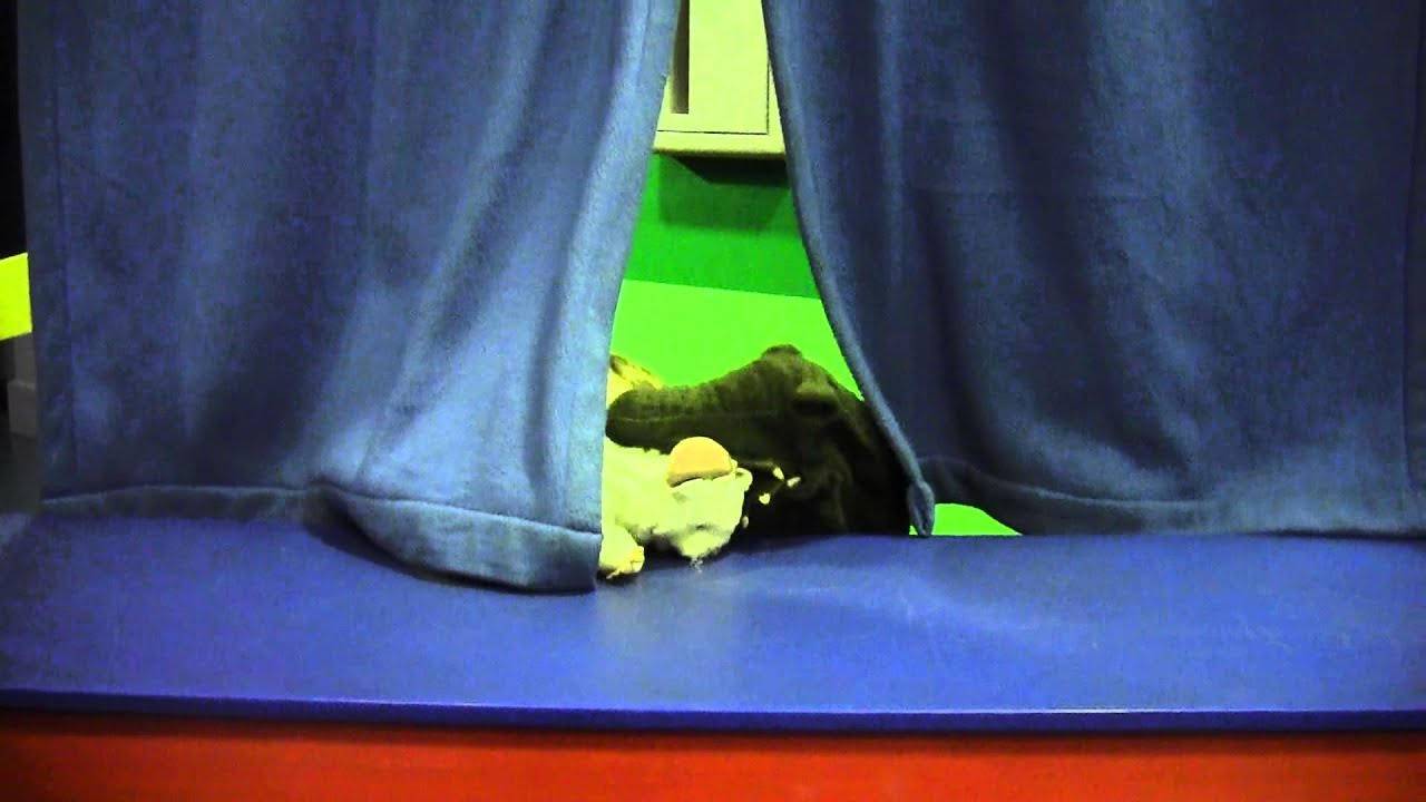 Evan's Alligator Puppet Show Part II - YouTube