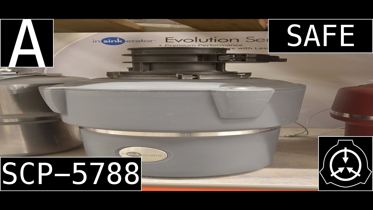 SCP-5788 "Partners in sync" [SCP Wikidot] - YouTube