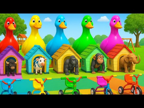 Gadi Wala Cartoon 🚗 | Toy Car Cartoon for Toddlers | safa toys show 