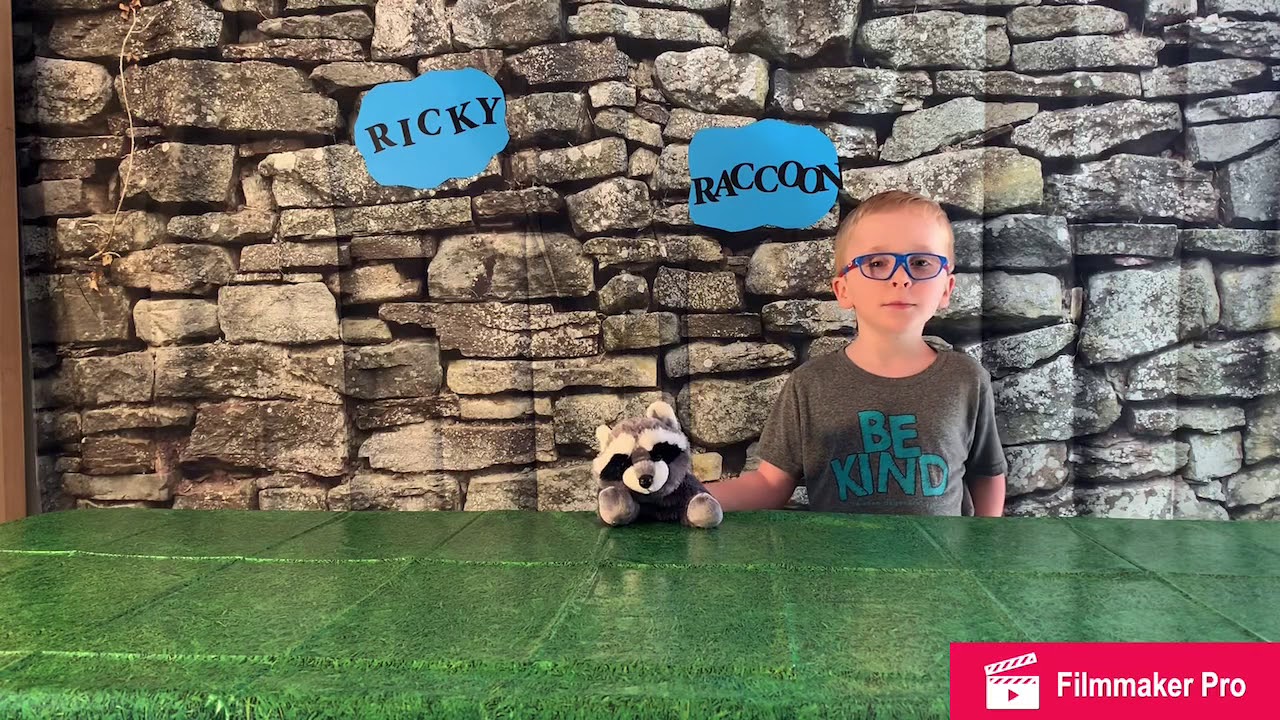 Meet Ricky Raccoon (reading with Ricky Raccoon and his friend Noah ...
