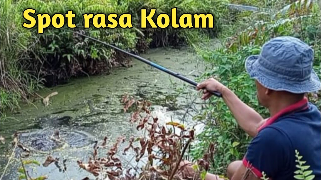 Luar biasa Mancing di selokan berbuih rasanya mancing di kolam - YouTube