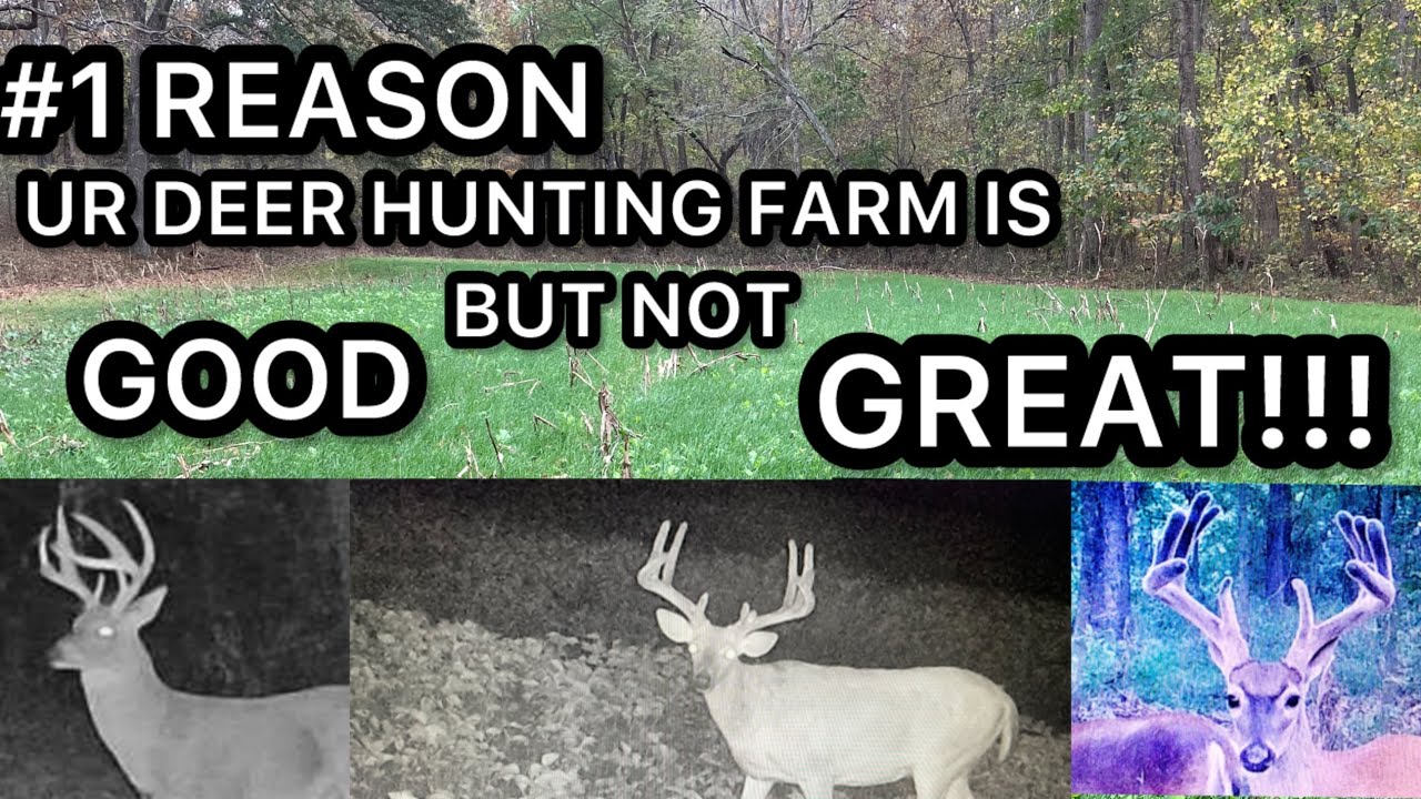 HOW TO TAKE YOUR DEER HUNTING FARM FROM GOOD...TO GREAT!!! - YouTube