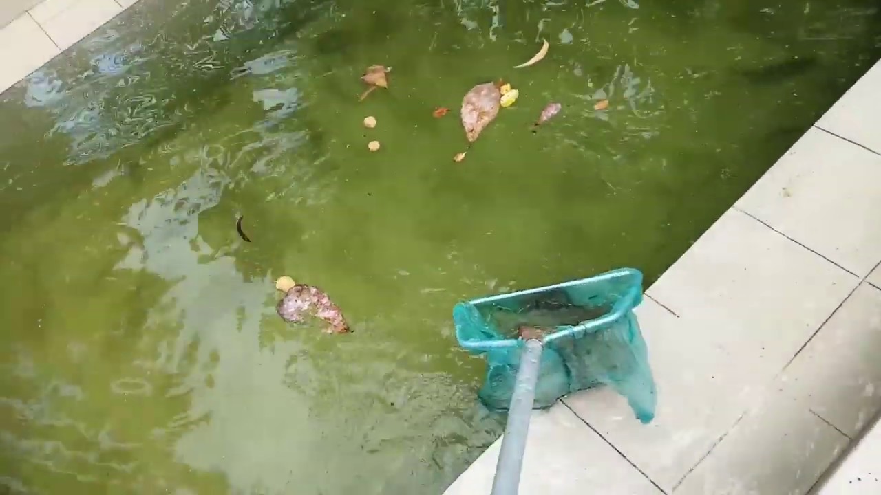Making New Catch Net - YouTube