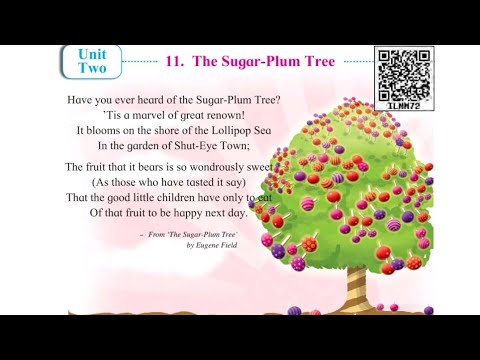 class 3 ENGLISH chapter 11 the sugar plum tree - YouTube
