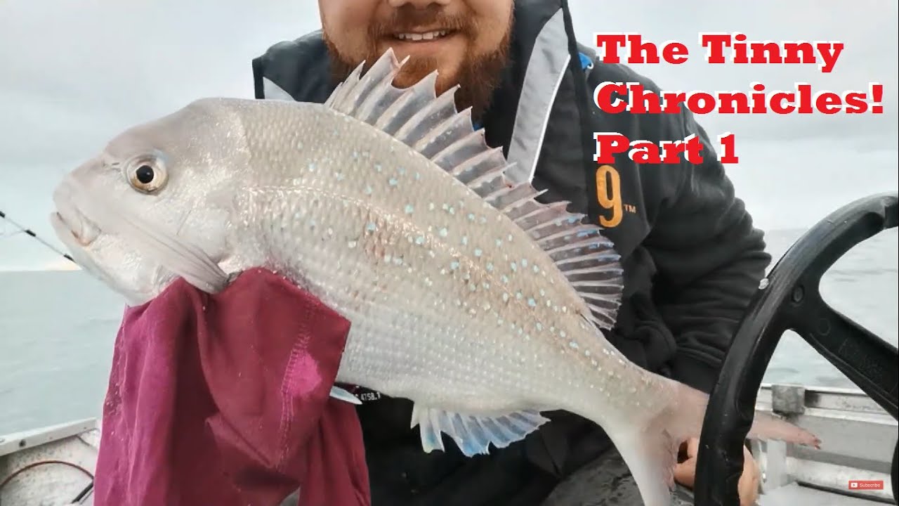 The Tinny Chronicles Part 1 - Tinny mods and chasing inshore snapper on ...