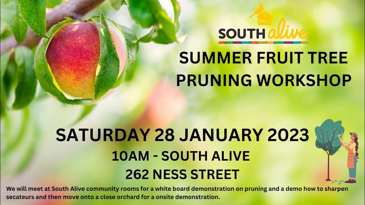 South Alive - Summer Fruit Tree Pruning - 28 January 2023 - YouTube