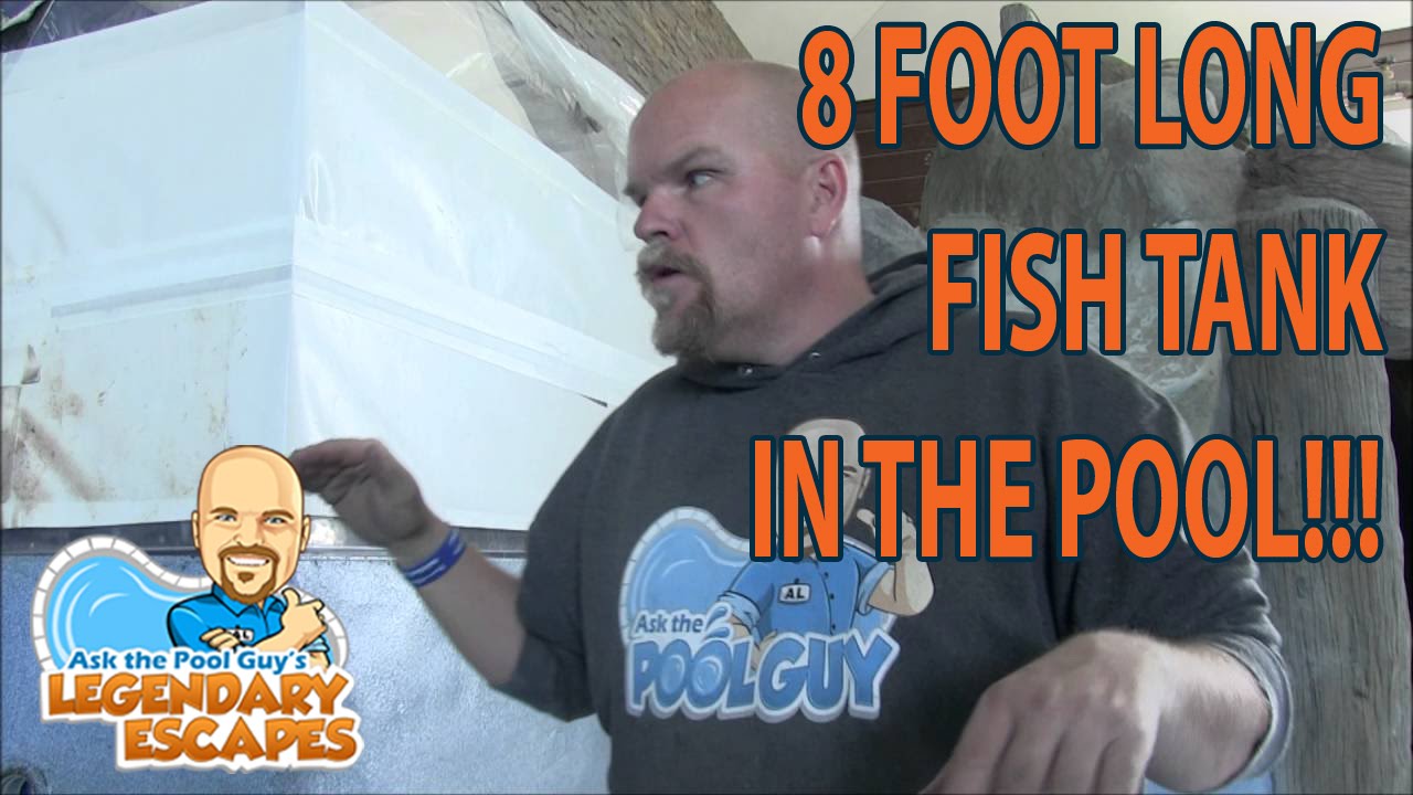 Ask the Pool Guy - Puts a Fish Tank Aquarium in this Indoor Swimming ...