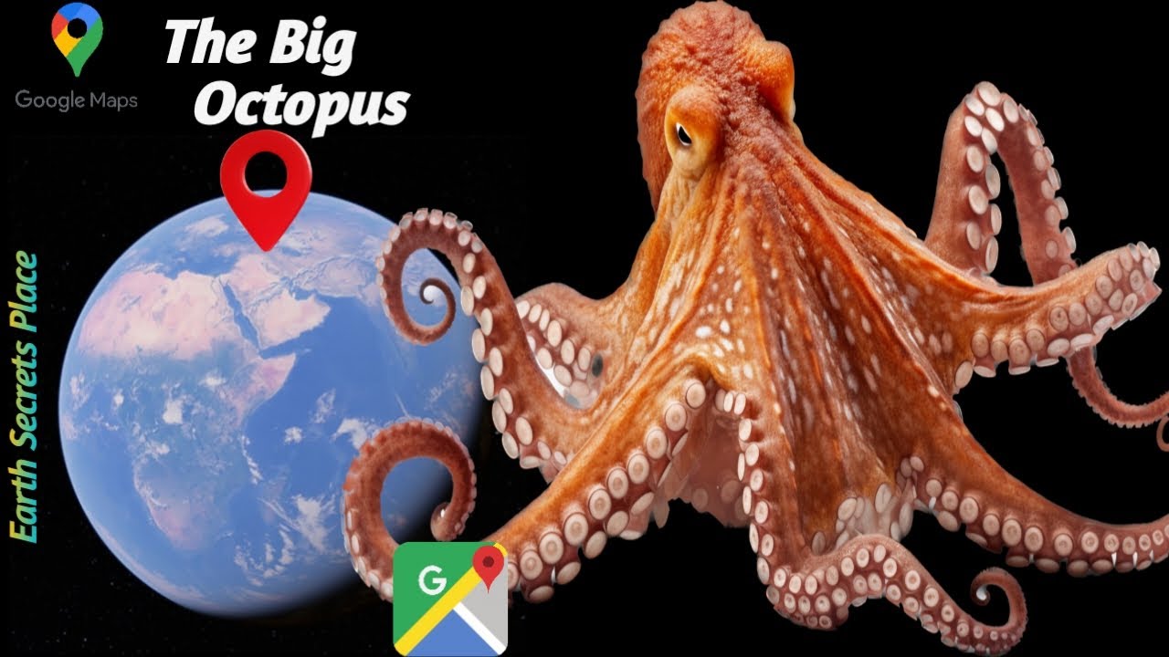 The Big Octopus 🦑 Are Real Found On Google Earth 🌎 - YouTube
