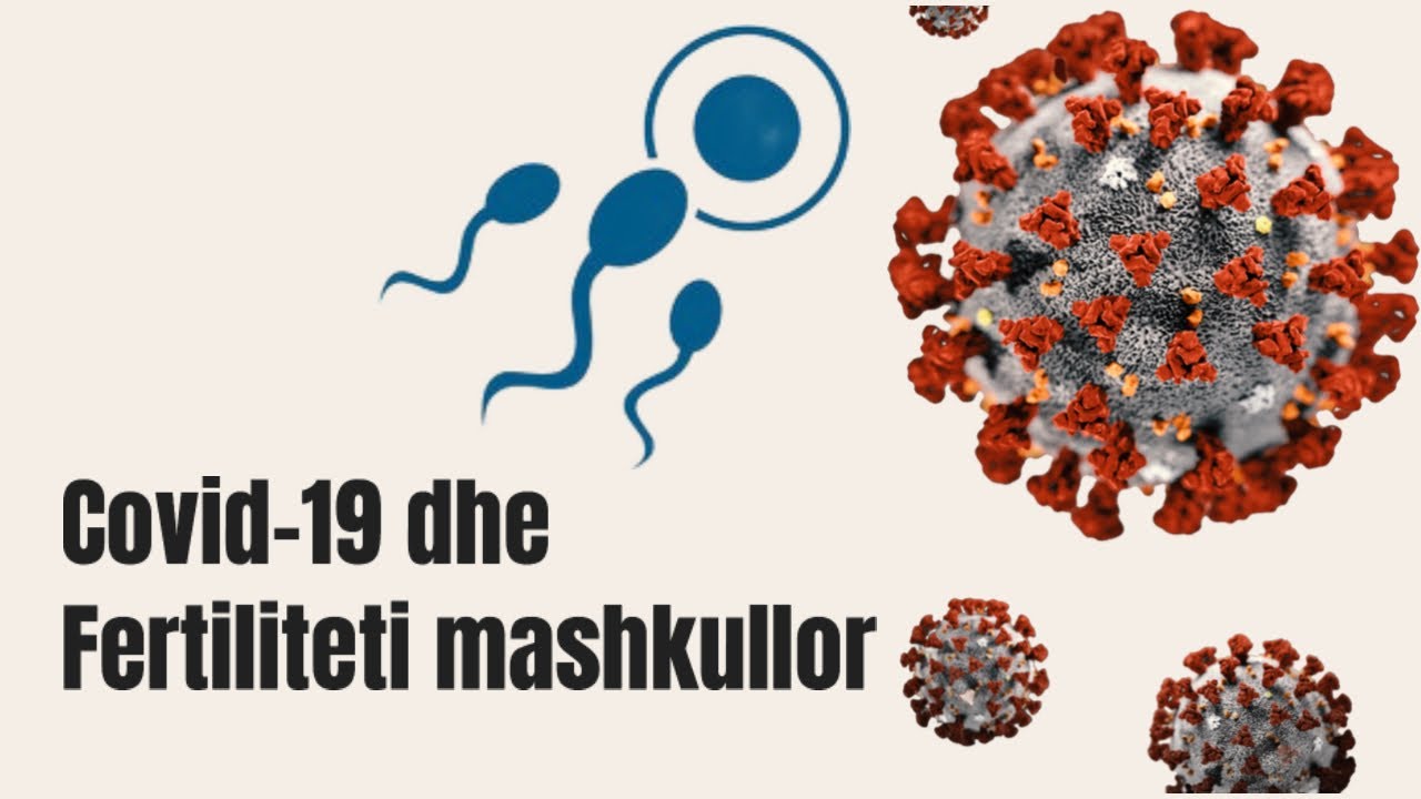 Covid 19 & Fertiliteti mashkullor - YouTube