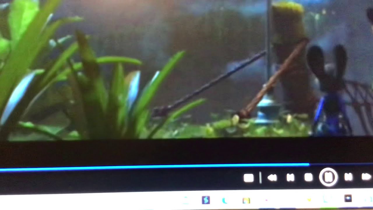 Toontopia Part 15 Bruce in Savage - YouTube