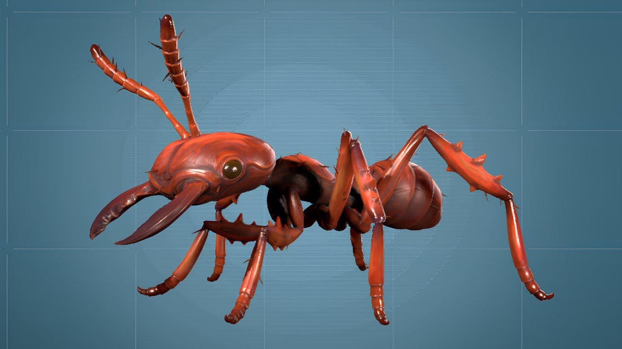 Red Soldier Ant - Grounded 2 ( Creatures ) - YouTube