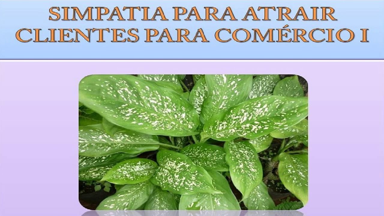 SIMPATIA PARA ATRAIR CLIENTES PARA COMÉRCIO I - YouTube