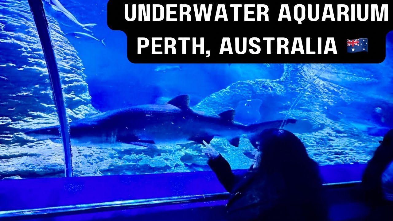 হাঙ্গরের সাথে সাক্ষাৎ🦈😳| Underwater Aquarium Australia 🇦🇺 | AQWA Perth ...