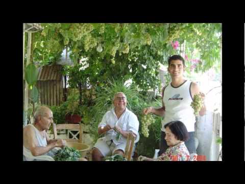 Canım Nenem Dervişe Adal anısına