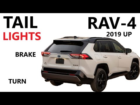 How to remove TAIL LIGHT bulbs on 19 23 TOYOTA RAV4 2019 2020 2021 2022 ...