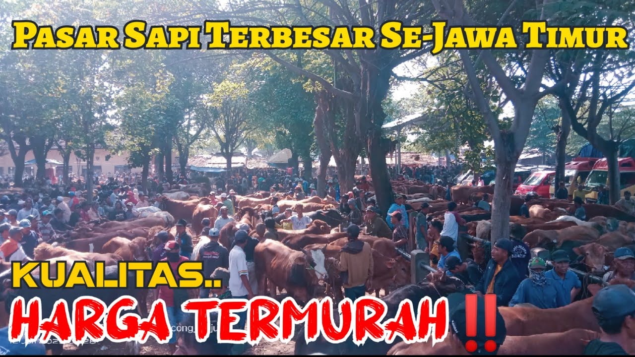 PASAR TERBESAR Se-Jawa Timur Para Bos Besar dari Berbagai Kota ...