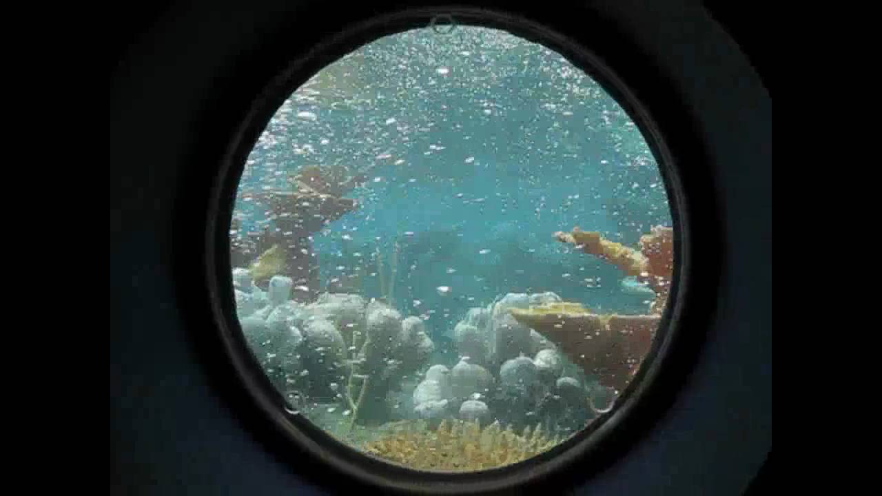 Finding Nemo's Submarine Voyage - YouTube