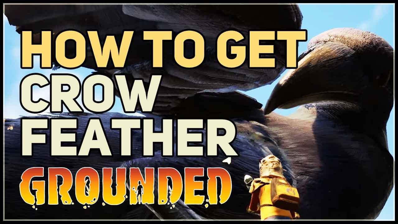 How to get Crow Feather Grounded - YouTube