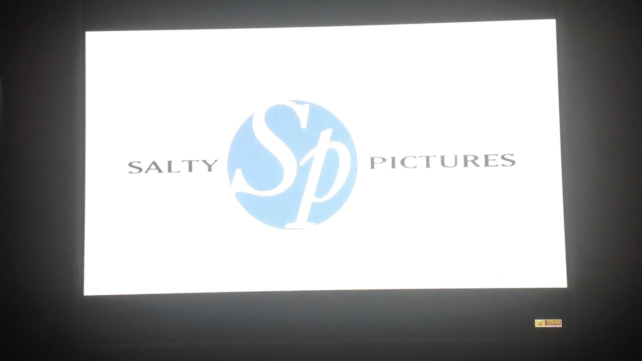 Davis Entertainment/Salty Pictures/Disney Channel Original (2005/2007 ...