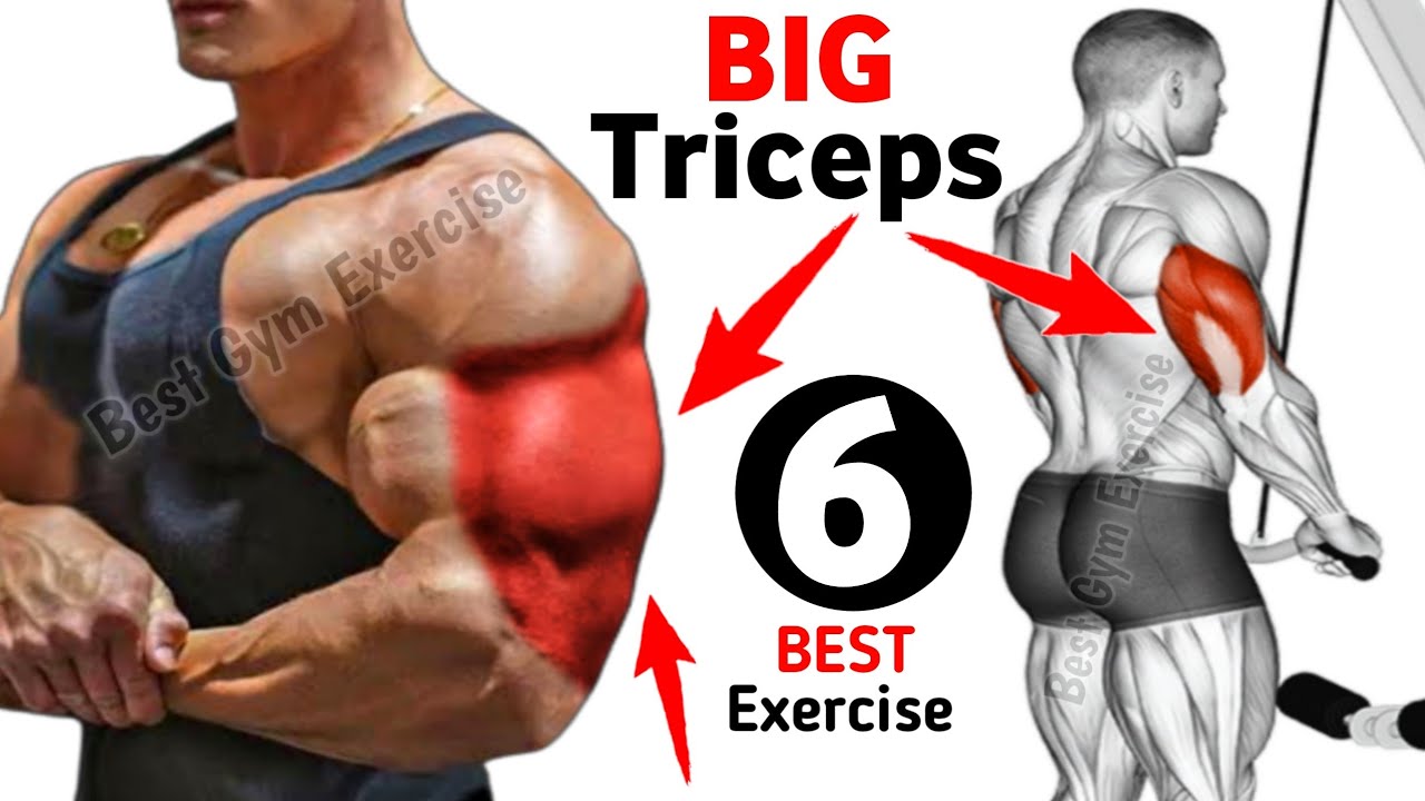 6 Fastest Huge Triceps Exercises - Tricep Workout - YouTube