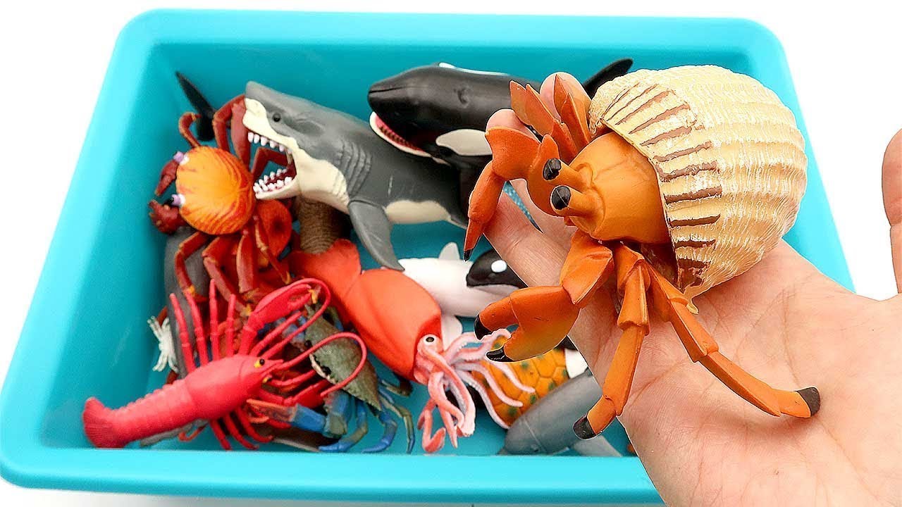 SEA animals toys 🦑🐙🦞Toy fish, good collection for children - YouTube