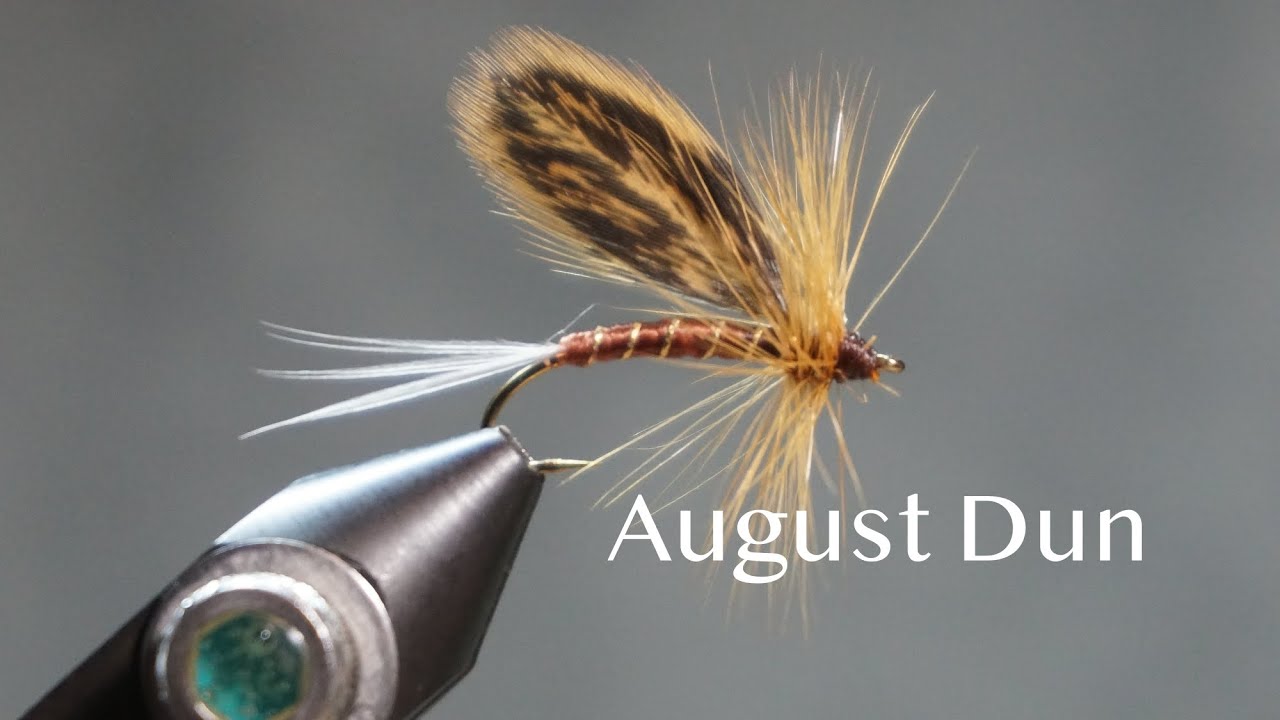 August Dun (a trout fly from Favorite Flies and Their Histories -1892 ...
