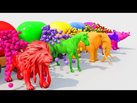 Learn Colors With Animals Cow, Tiger, Lion, Gorilla, Elephant, Shark ...