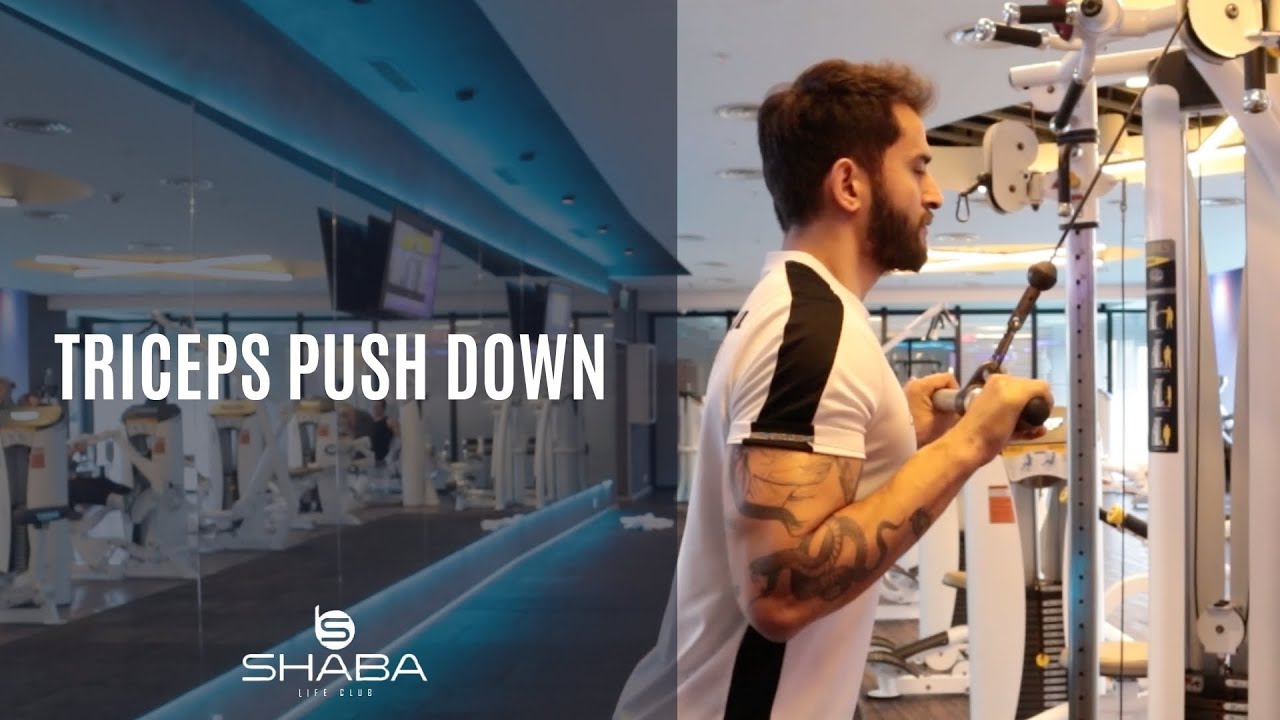 CABLE TRICEPS PUSH DOWN EGZERSİZİ NASIL YAPILIR? HOW TO CABLE TRICEPS ...