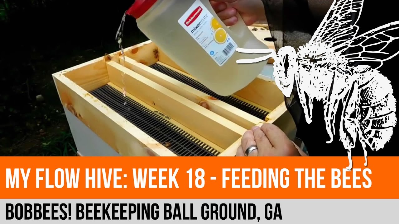 My Flow Hive: Week 18 - Bee Hive Inspection and Feeding - YouTube