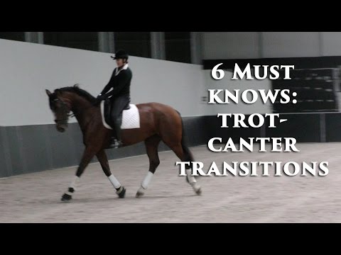 6 MUST KNOWS AS A RIDER FOR AWESOME TROT TO CANTER TRANSITIONS ...