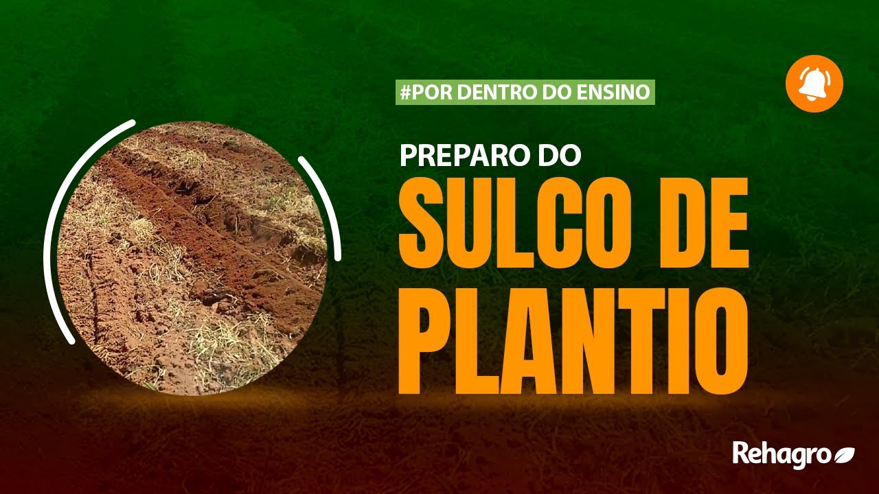 Como preparar o SULCO de PLANTIO com eficiência? - YouTube