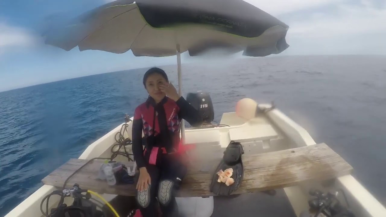 2020 08 12Miyazaki Open ocean dive 小瀬 - YouTube