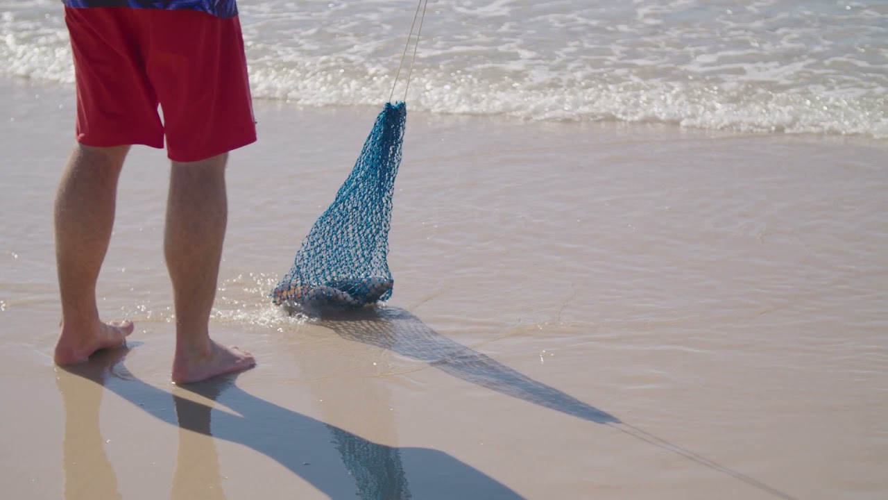 Alvey Worm Pliers | Available at Anaconda - YouTube