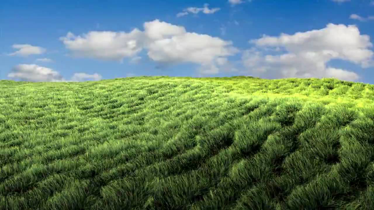 Grass in the Wind (Blender 3d) - YouTube
