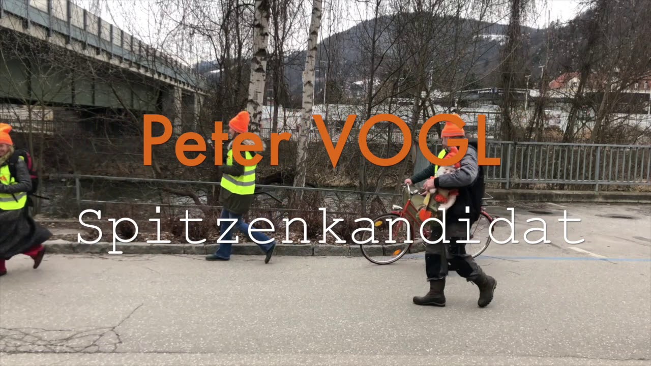 Peter VOGL im Interview: Über Privatisierung von öffentlichem Gut - YouTube