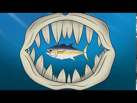 Roblox High Tide animation - YouTube