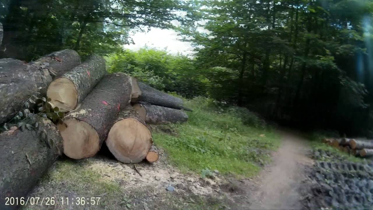 SINGLE TRAIL Jedovnice 1 amalka lesik pavla - YouTube