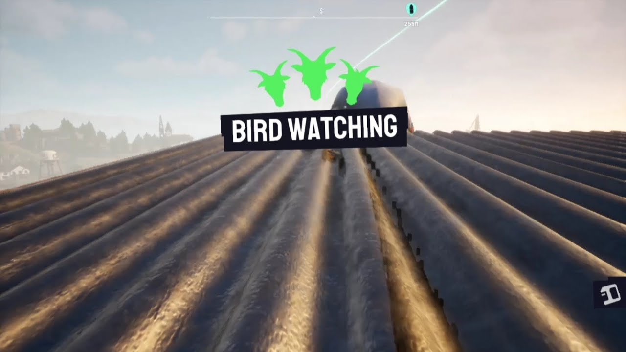Bird Watching (Event) Mornwood Falls - Goat Simulator 3 - YouTube