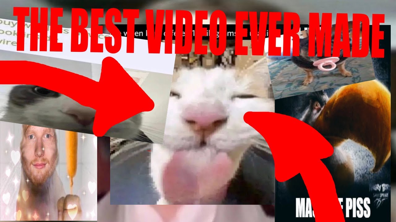 The Funniest Video Ever - YouTube