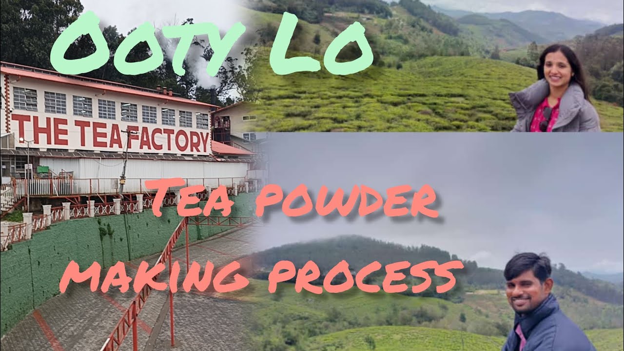 Tea Powder 🍵Making in Ooty 🌿|Traditional process|Ooty Trip|Itsmemounika ...