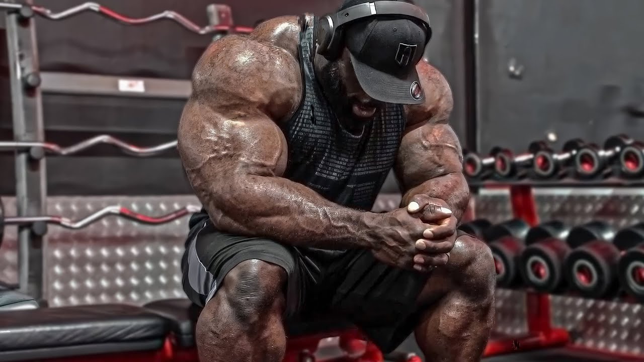 BIGGEST SAMSON WE HAVE EVER SEEN - BUILT LIKE A REAL LION - SAMSON "THE ...