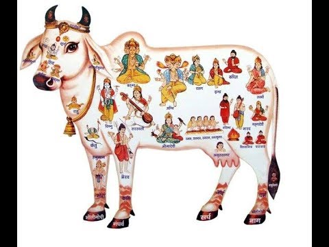 Gomatha pooja | Images for gomatha pooja | gomatha pooja benefits ...