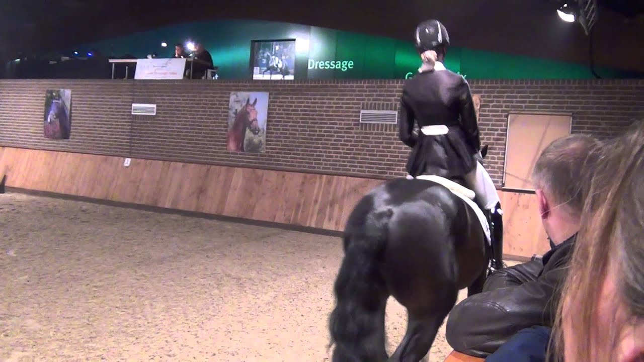 For Gribaldi kwpn Stallion Show Van Uytert 2015 - YouTube