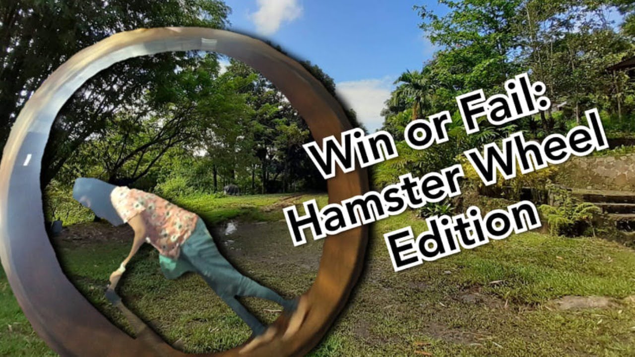 Human-sized Hamster Wheel | WIN OR FAIL? - YouTube