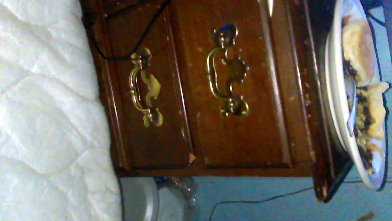 sorry for the interruption - YouTube