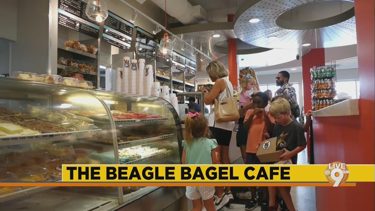 The Beagle Bagel Cafe - YouTube