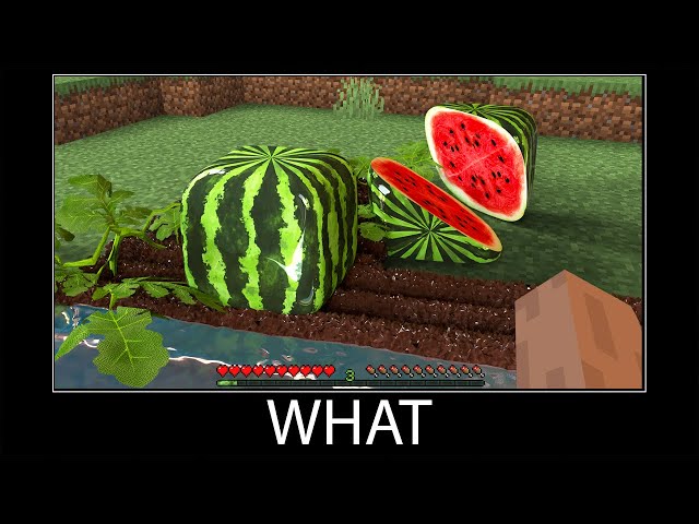 Watermelon Meme