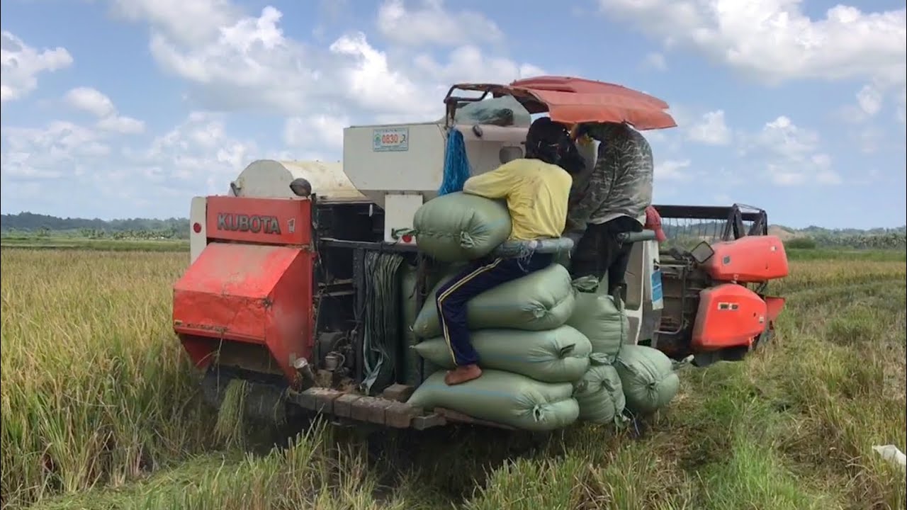 Kubota DC70 harvester in action - YouTube